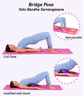 10 basic yoga poses for beginners - | Pharma Sop